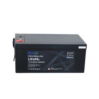China 12V 300Ah Battery Lifepo4 Lithium ion Batteries 12V Smart BMS for sale