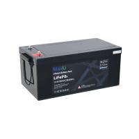 China 12V 300Ah Battery Lifepo4 Lithium ion Batteries 12V Smart BMS for sale