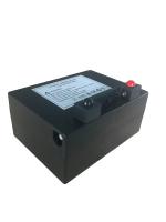 China BMS 36 Hole Golf Trolley Battery 12V 24Ah LiFePO4 Battery For Powakaddy Hillbilly Charger for sale