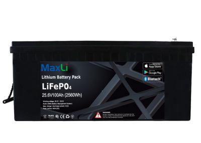 China 3000 Cycles 24V 100Ah Lifepo4 Storage Battery for sale