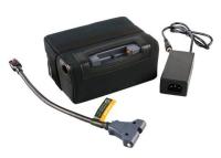 China BMS 307.2Wh 24Ah 12 Volt Lithium Battery For Golf Cart for sale
