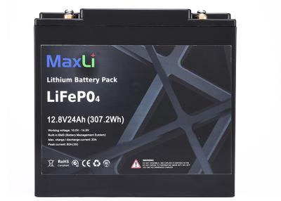 China 307.2Wh 12V 24Ah Rechargeable Lithium Iron Battery T3 bolt for sale