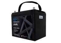 China ABS 1024Wh 25.6V 40Ah Lithium Iron Phosphate Battery for sale