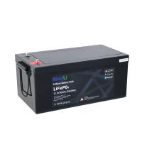China Deep Cycle RV 3840Wh 300Ah 12V Lithium Battery Built In Bluetooth for sale