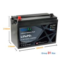 China 3000 cycles IP65 1280Wh 12V 100Ah LiFePO4 Battery for RV Marine for sale