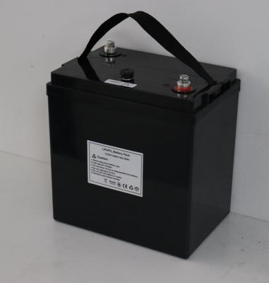 China LFP 1536Wh 120Ah 12V Lithium Battery ABS Plastic Case for Golf Cart for sale