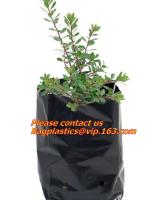 China Horticulture, NURSERY, PLANTER, SEED, PLASTIC GROW BAGS, HYDROPONICS, FLOWERPOTS, BLACK for sale