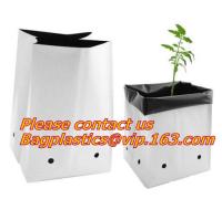 China Horticulture, NURSERY, PLANTER, SEED, PLASTIC GROW BAGS, HYDROPONICS, FLOWERPOTS, BLACK for sale