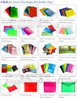 China pp envelope pocket folder custom cute printed a4 plastic document carrying file folder bag for sale