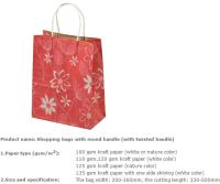 China Luxury shopping paper bag, different types design custom paper shopping bag, Recyclable luxury style printed gift custom for sale