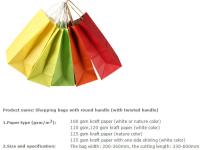 China Luxury shopping paper bag, different types design custom paper shopping bag, Recyclable luxury style printed gift custom for sale
