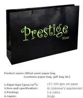 China Nice Design Paper Shopping Bag , Recycle / Environmental Luxury Shopping Paper Bag , Raw Material Gift Kraft Paper for sale