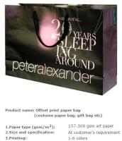 China pp rope paper bag/paper shopping bag with 15 years experience/bolsa de papel ropa for sale
