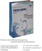 China pp rope paper bag/paper shopping bag with 15 years experience/bolsa de papel ropa for sale