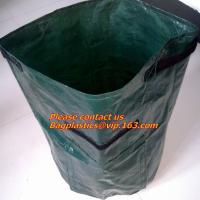 China vegetables, fruits, seeds, bedding plants, tomatoes, peppers, cucumbers, tree starters, potato bag, Hydroponics Garden for sale