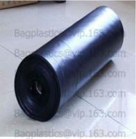 China Plastic biodegradable agricultural pe film plastic mulch film, Black agricultural mulch film, Strawberry special film for sale