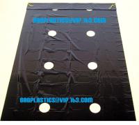 China Plastic biodegradable agricultural pe film plastic mulch film, Black agricultural mulch film, Strawberry special film for sale