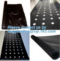 China Agricultural PE Film, Agriculture Polyethylene, Film, mulch films, horticultural polyethylene film for sale