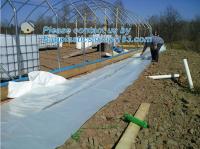 China Manafacture PE Material Pre-stretch Perforated UV Resistant Agriculture Film for sale