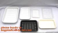 China corn starch dinnerware sets biodegradable cake tray, Corn Starch White Molded Fiber Pulp Rectangular Tray Paper Food Tra for sale