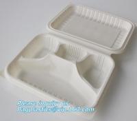 China Plastic corn starch biodegradable meat tray, Cornstarch disposable biodegradable plate for sale
