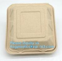 China Dishes & Plates Dinnerware Blister packaging Resturant Disposable Food Serving Tray food disposable container for sale
