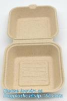 China biodegradable food tray for fruit or snack biodegradable corn starch disposable plastic food tray PLA Foamed Biodegradab for sale