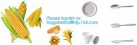 China blister packaging tray, rectangular plastic food tray, CornStarch PLA cement tray for sale