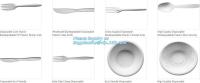 China blister packaging tray, rectangular plastic food tray, CornStarch PLA cement tray for sale
