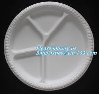 China Disposable Plastic Takeaway Meal Tray, Corn starch blister packaging tray, blister packaging for sale