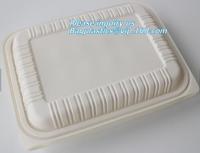China Disposable Plastic Takeaway Meal Tray, Corn starch blister packaging tray, blister packaging for sale