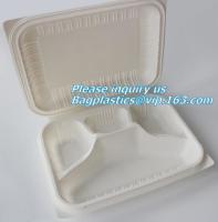 China blister packaging Packaging Tray, airline fast food trays with handle, cornstarch food trays for sale