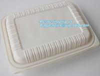 China Food Serving Compartment Tray, Food Meat Packaging Tray, eco friendly vegetable tray for sale