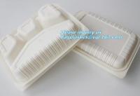 China Food Serving Compartment Tray, Food Meat Packaging Tray, eco friendly vegetable tray for sale