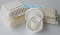 China Food Serving Compartment Tray, Food Meat Packaging Tray, eco friendly vegetable tray for sale