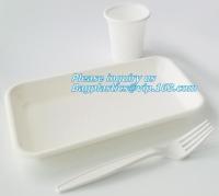 China biodegradable meat tray, disposable plate deli tray, biodegradable breakfast tray, Biodegradable Disposable Food Tray for sale