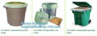 China Biodegradable disposable compostable plastic bag and corn starch bag, Eco friendly biodegradable compostable plastic bag for sale