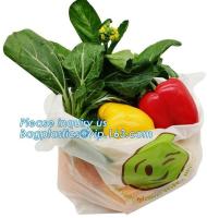 China compostable cornstarch food waste kitchen caddy liner bag, Eco-Friendly Disposable Compostable Food Grade Bag for sale
