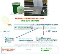 China China manufacturer 100% biodegradable singlet bags with EN13432 BPI OK compost home ASTM D6400 certificates, BIO, ECO for sale