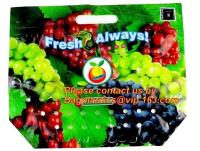 China Stand Up Roasted Chicken Packaging Bags With Zip Top hot roast, rotisserie chicken bag, microwaveable bag, slide plastic for sale