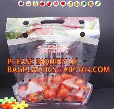 China cherry tomato bags / laminated dry fruit packaging bag, Fruit Vegetable Packaging Bag, fruit protection bag with vent ho for sale