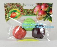 China eco-friendly slider k fruit bag with air holes for grape packaging bag, slider k storage frozen bag with OEM for sale