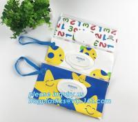 China Eco-friendly reusable custom printed zipper top plastic EVA wet wipe, Cheap Custom Plastic packaging bag baby eva tissue for sale