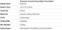 China Non Slip Plastic Feeding Dishes No Spill Pet Dog Cat Double Food Water Bowl For Cat Dog, Premium Colorful Dog Water Food for sale