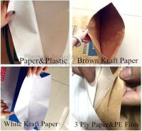 China OEM quality 5kg/10kg/15kg/25kg pp woven laminated kraft pape bags,25 kg flour packaging plain kraft paper laminated pp w for sale