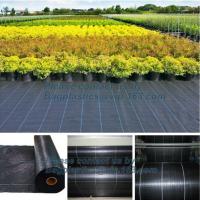 China Water management weeb control pavement preservation courtyard beautify anti insect anti mold seedbed protection vegetati for sale