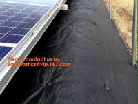 China Agricultural garden weed barrier mat/weed barrier cloth,Black plastic anti weed mat/ground cover/weed barrier mat, BAGEA for sale