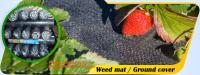 China Supply heavy duty 100% virgin anti grass weed barrier/garden weed barrier cloth/agricultural ground cover mesh with UV r for sale