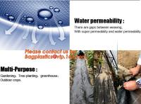 China Agricultural plastic ground cover weed mat, pp weed control mat, for greenhouse and outer use,ground cover, weed mat, ma for sale