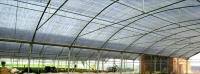 China bird protection net, net trap,bird net,anti-bird net,mist net,pe tarpaulin,tarpaulin roll,shade net,mesh net,monoflament for sale